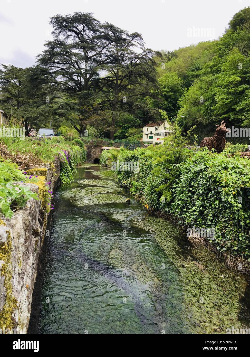Cheddar river hi-res stock photography and images - Alamy