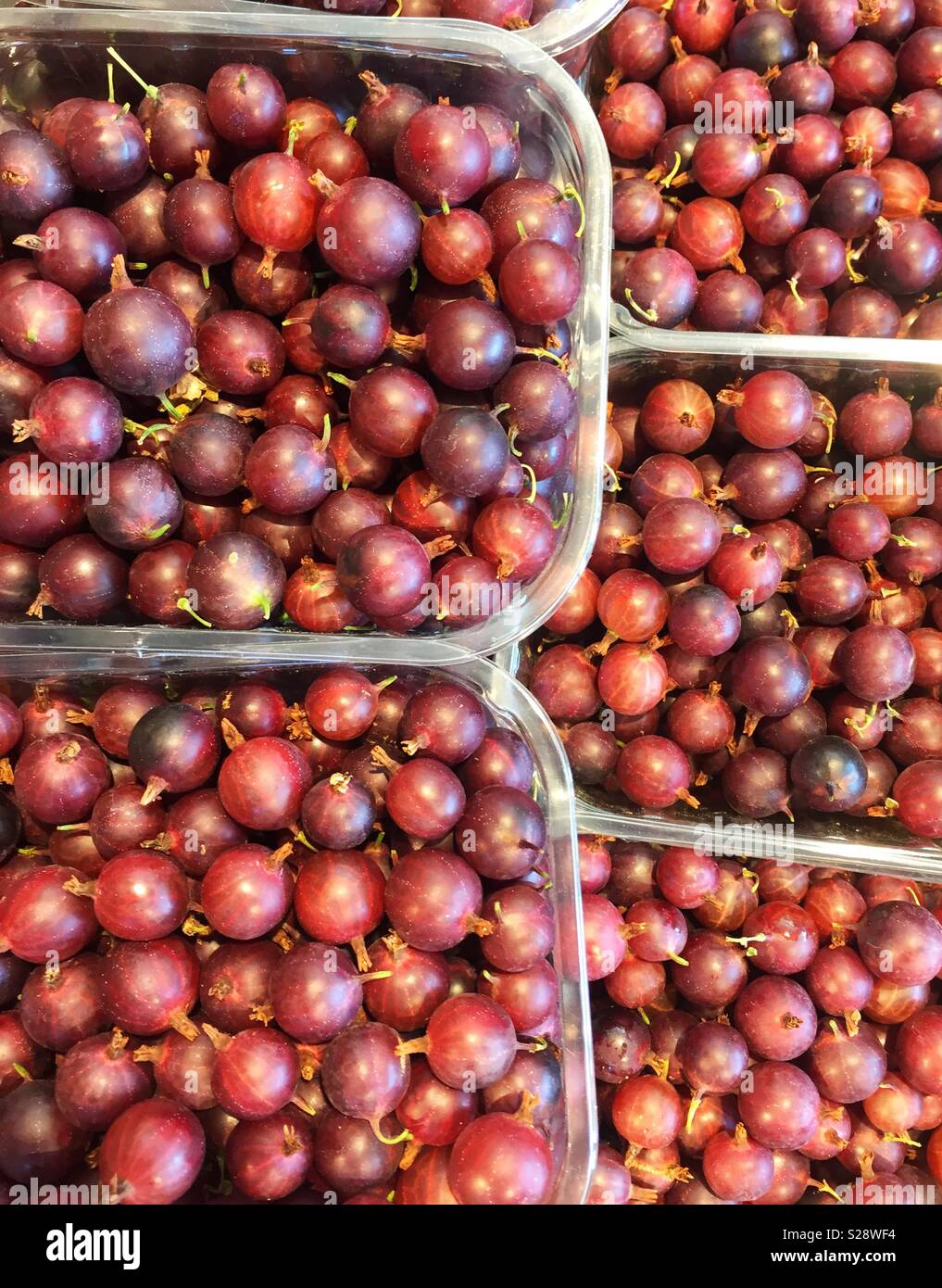 Full frame background of pink gooseberries Stock Photo - Alamy