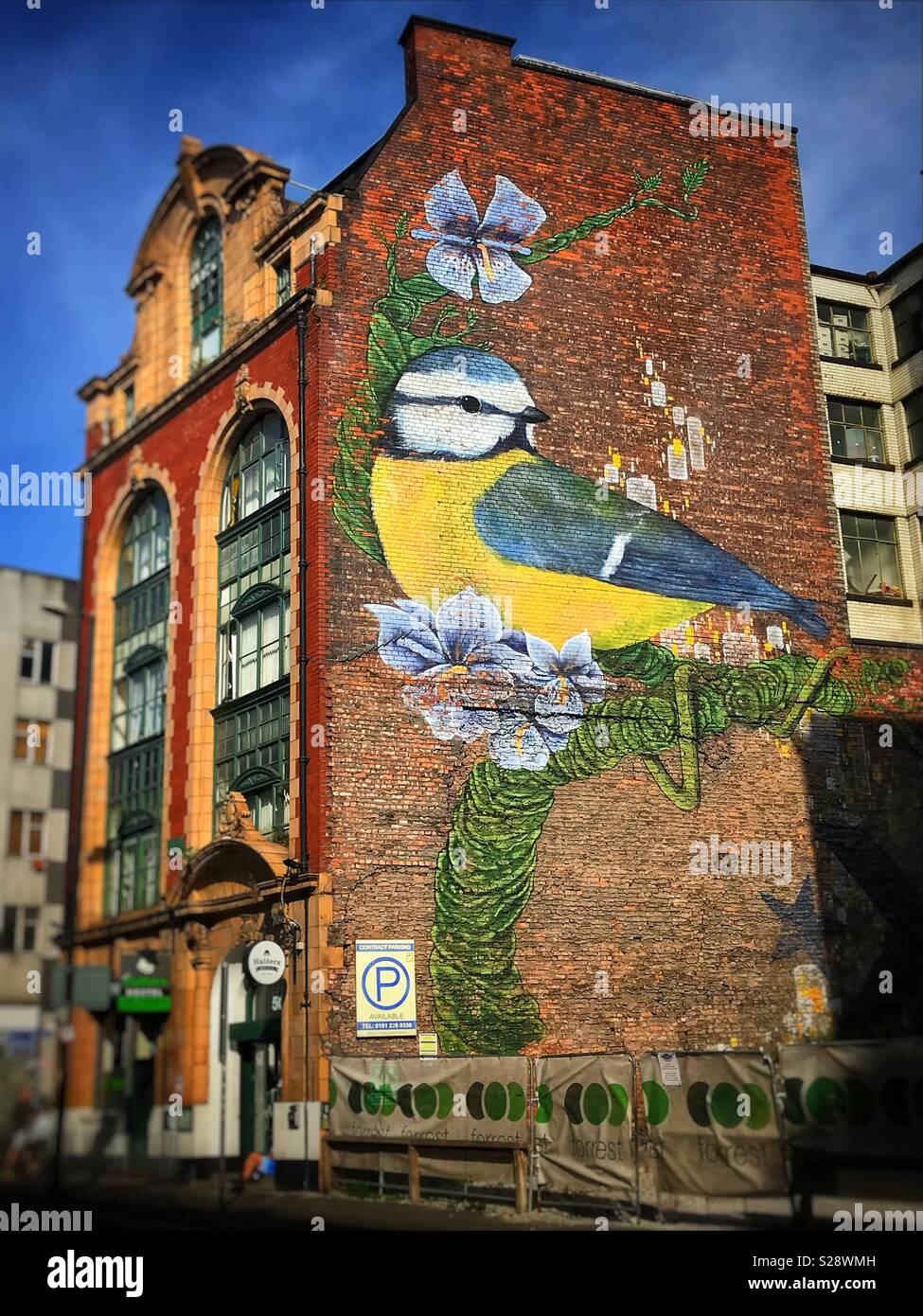 Bird on a building Stock Photo - Alamy