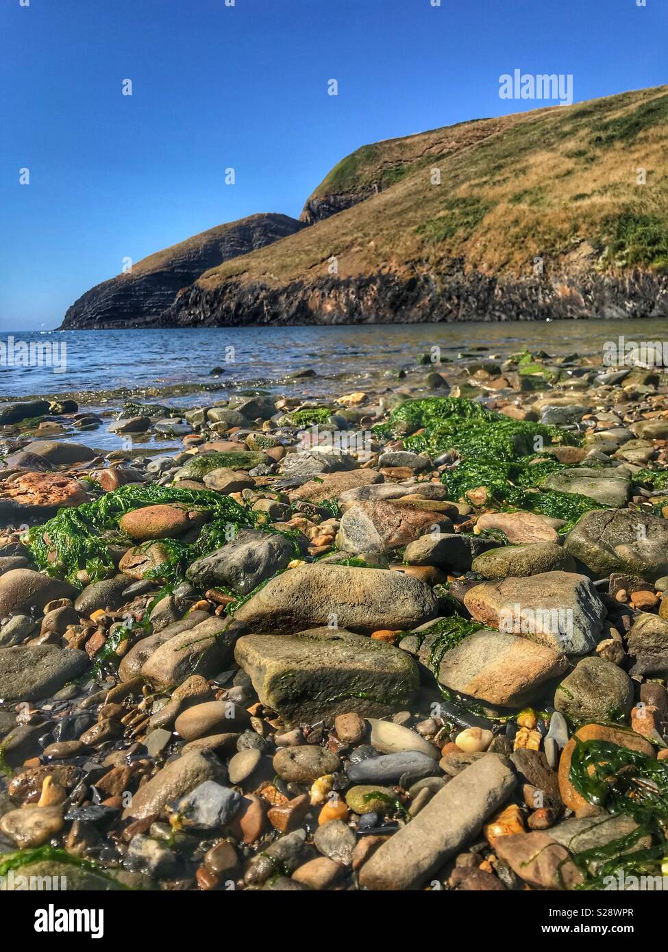 Pebble pebble hi-res stock photography and images - Alamy