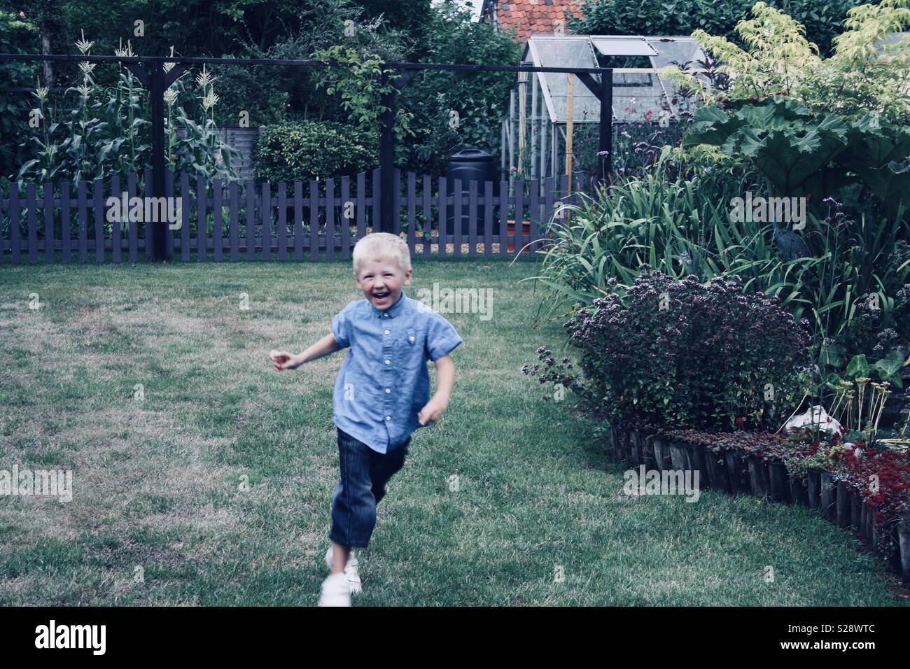 Young boy laughing while running around garden Stock Photo - Alamy