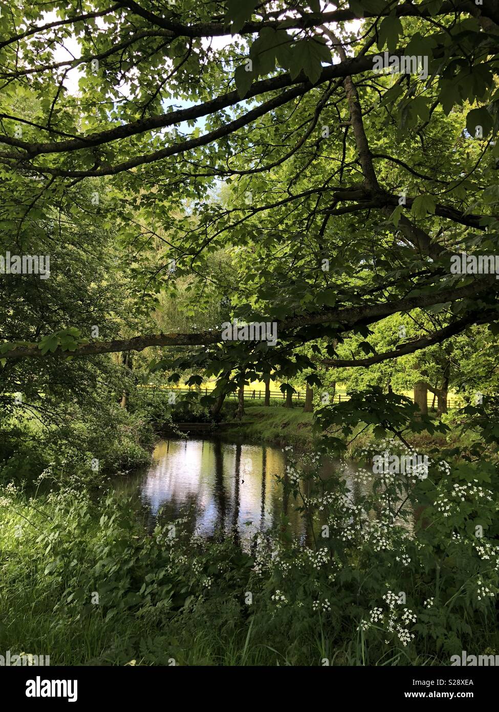 Nottinghamshire countryside hi-res stock photography and images - Alamy