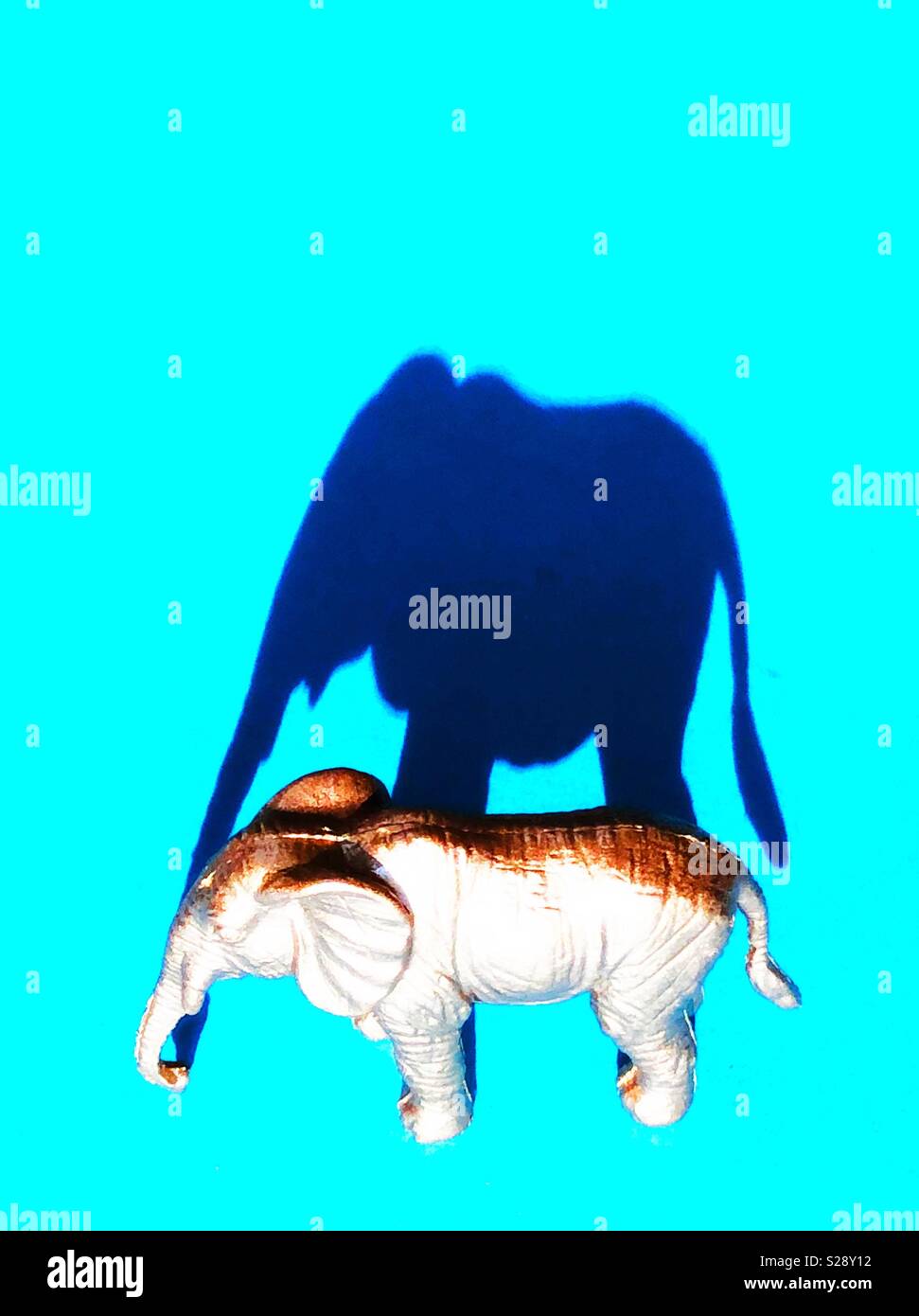 An elephant figurine and shadow Stock Photo - Alamy