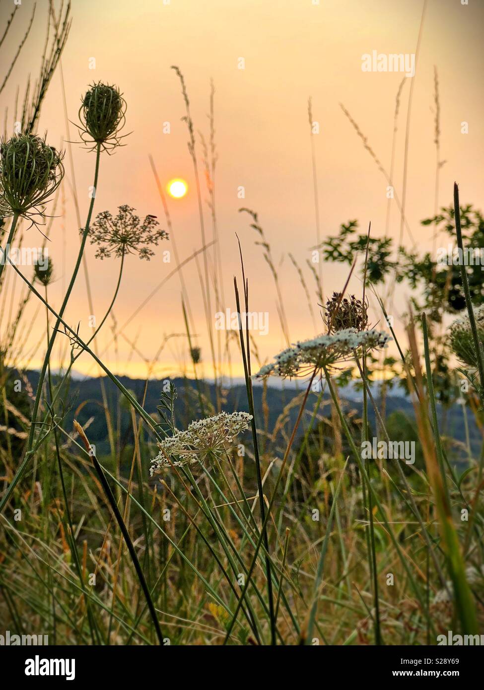 Oregon west coast hi-res stock photography and images - Alamy