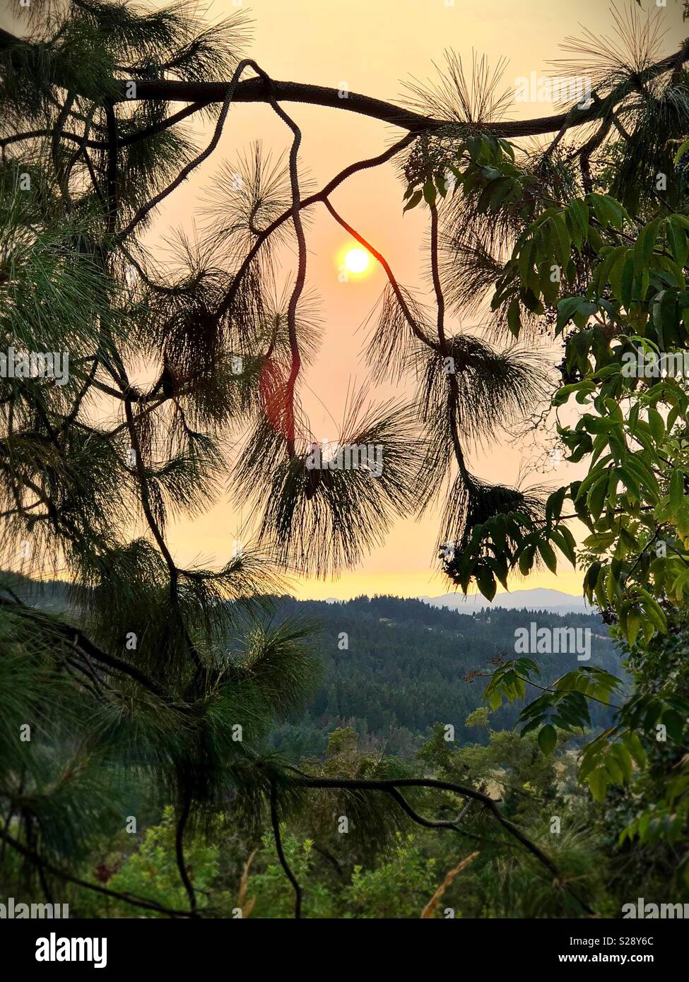 West coast wildfire hi-res stock photography and images - Alamy