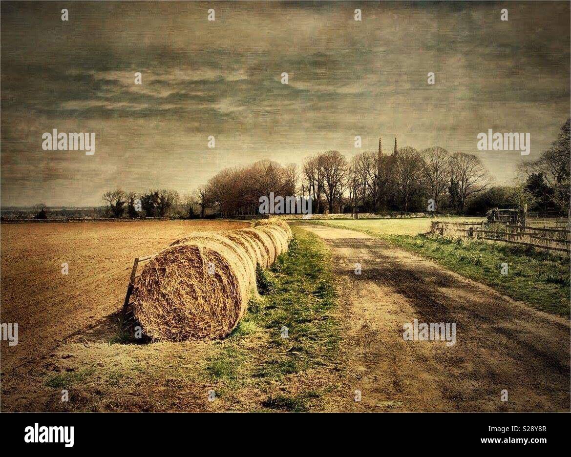 Country farm life Stock Photo - Alamy