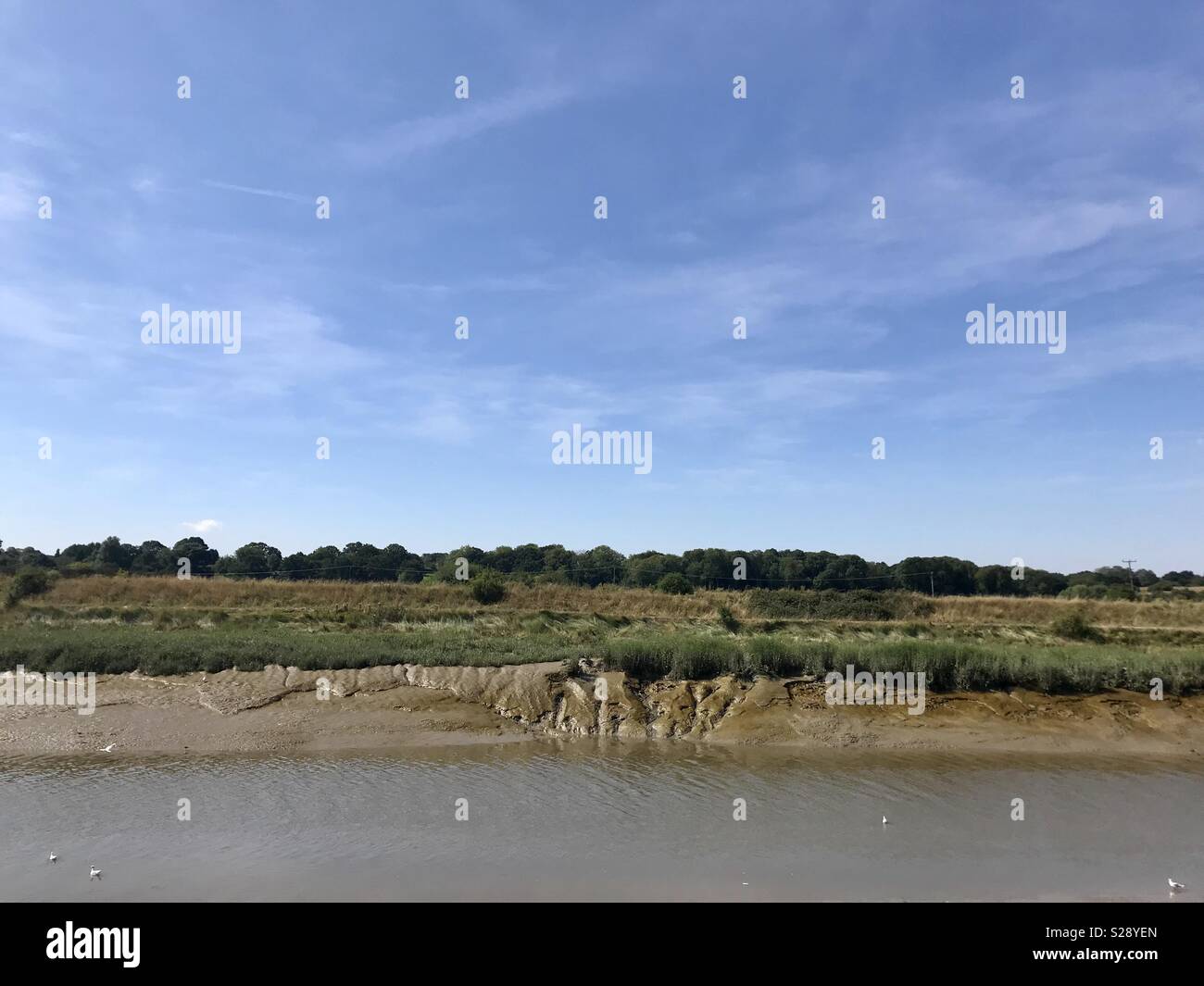 River Estuary in summer Stock Photo - Alamy