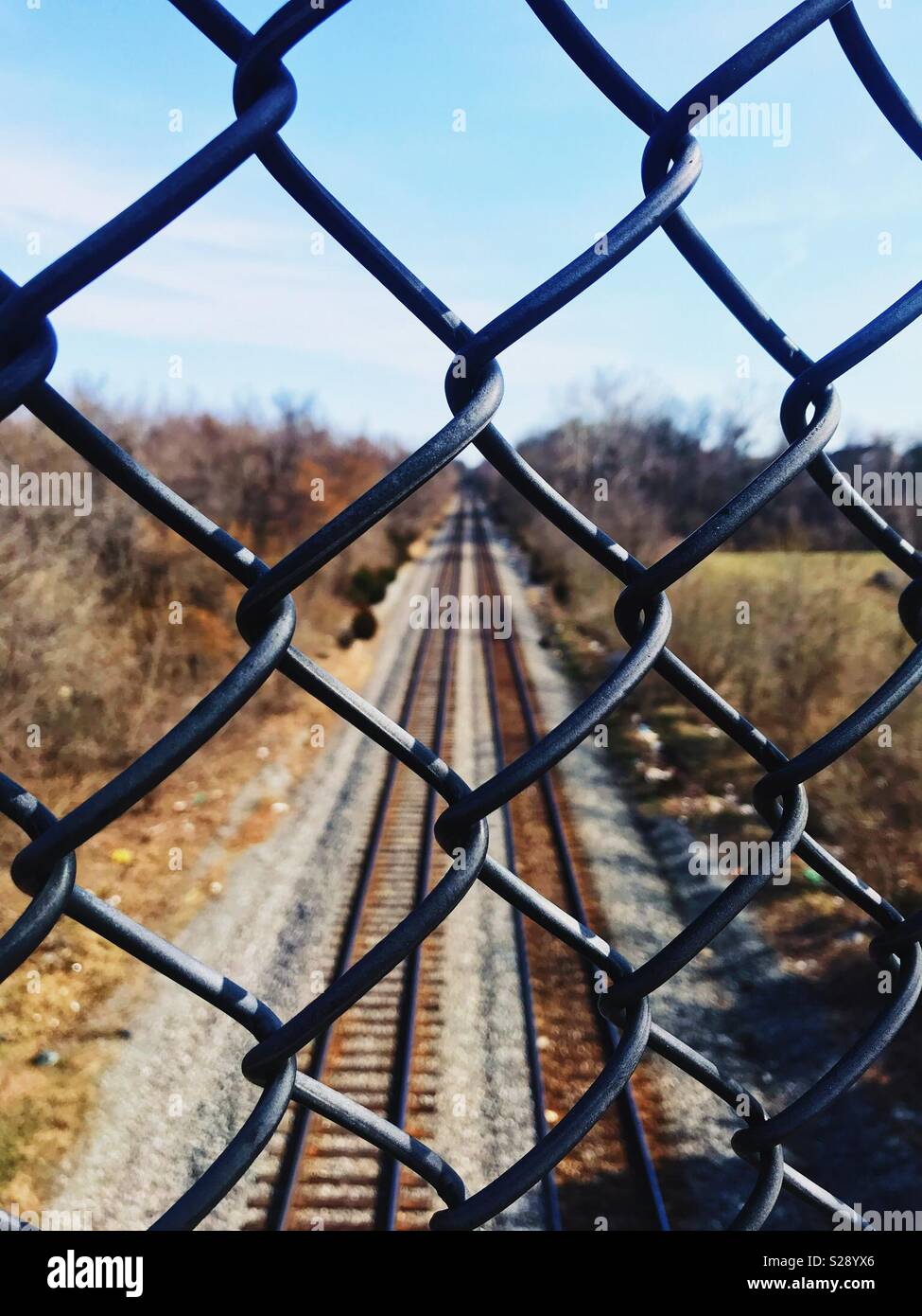Through the wire Stock Photo - Alamy