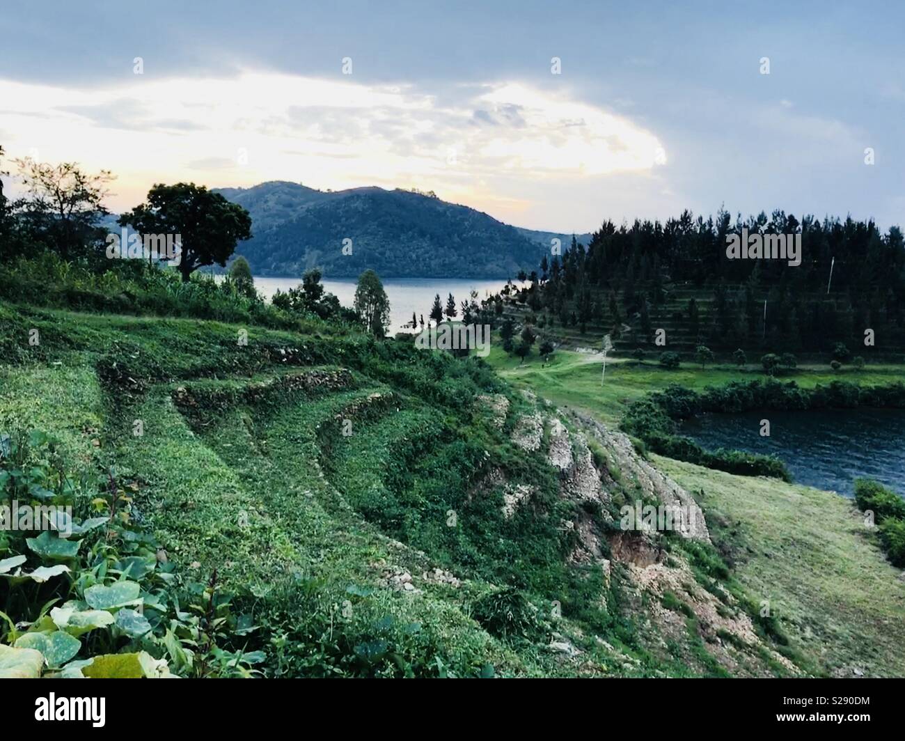 The Rwandan hills at sunset Stock Photo - Alamy
