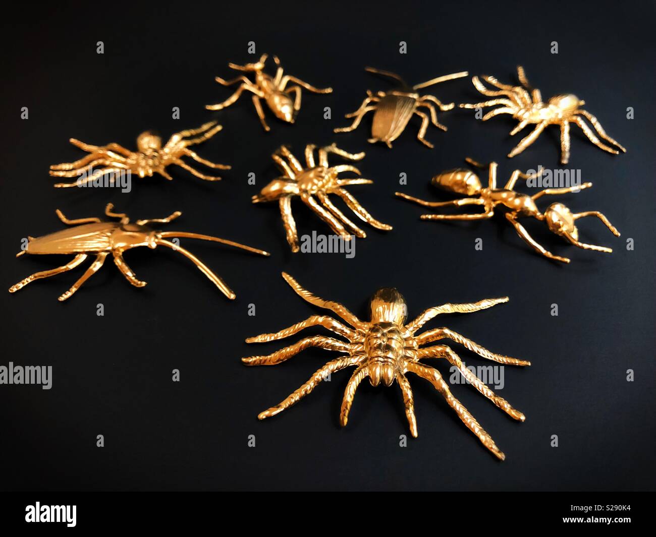 Shiny gold spiders and bugs on a black background Stock Photo - Alamy