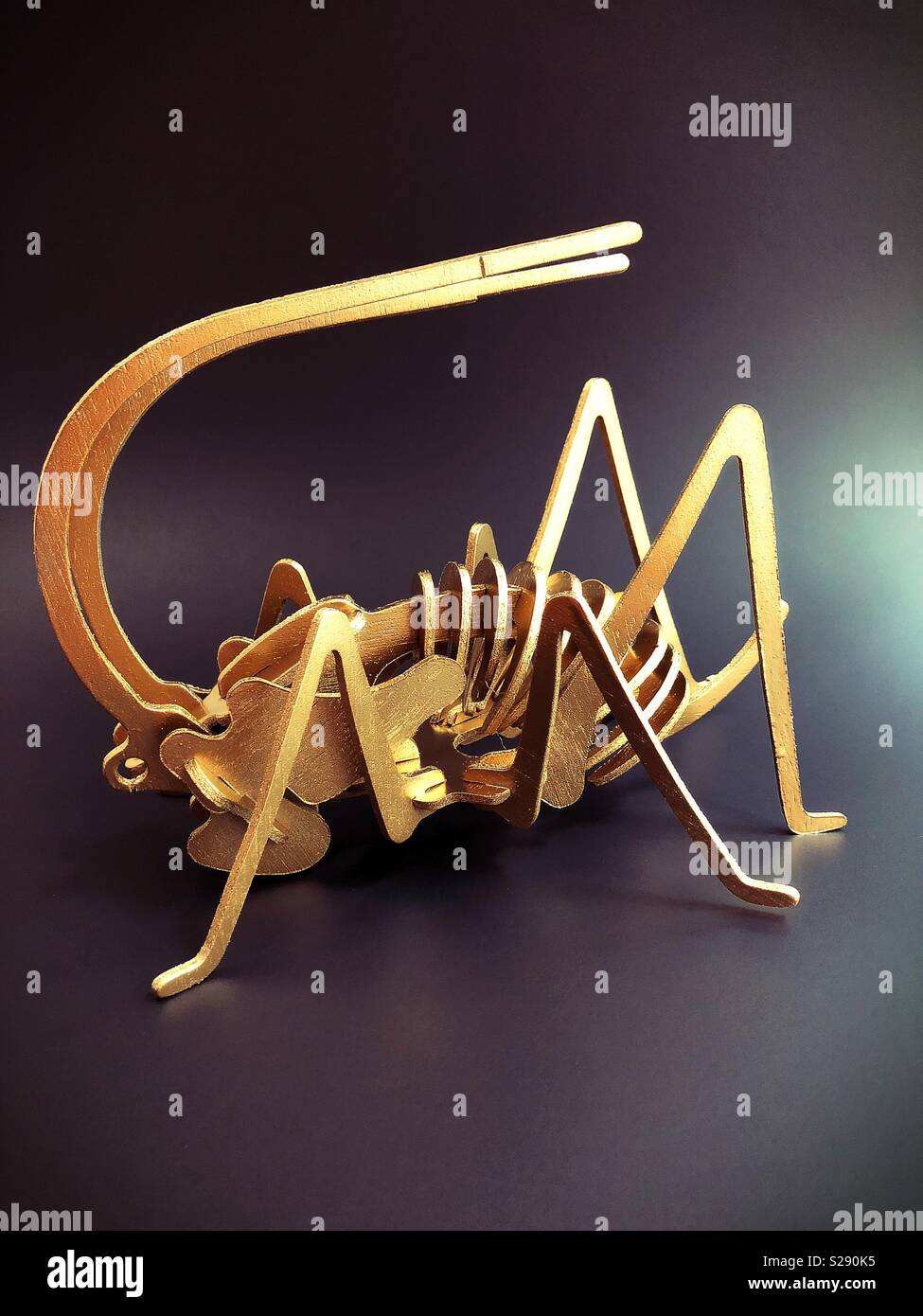 A golden cricket Stock Photo - Alamy