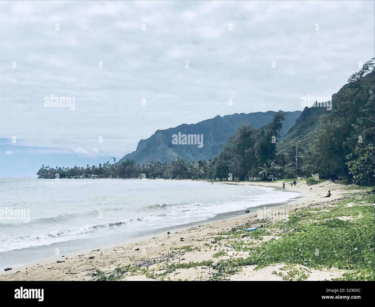 Punaluu oahu hawaii hi-res stock photography and images - Alamy