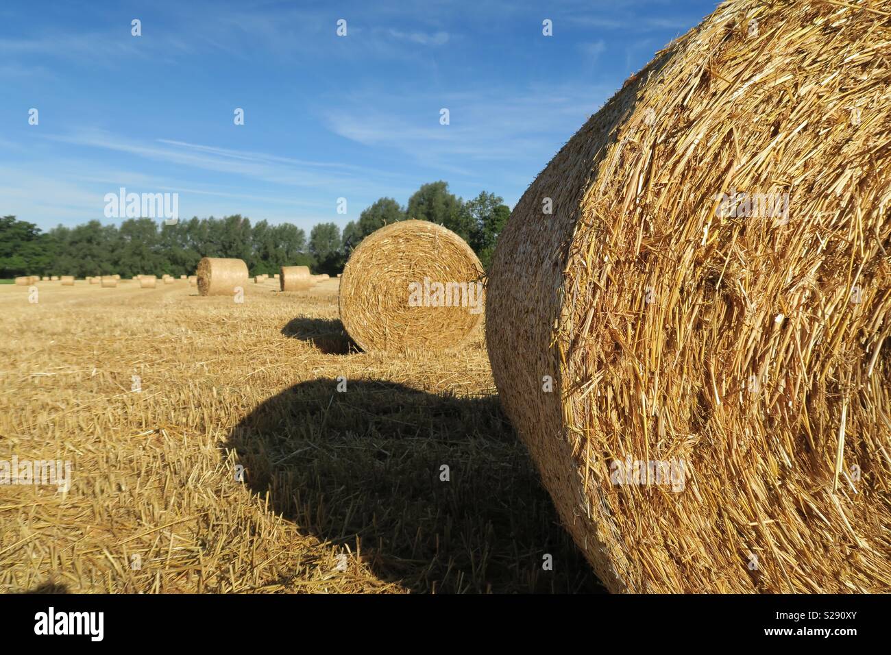 Hay bales descending in size from left Stock Photo - Alamy