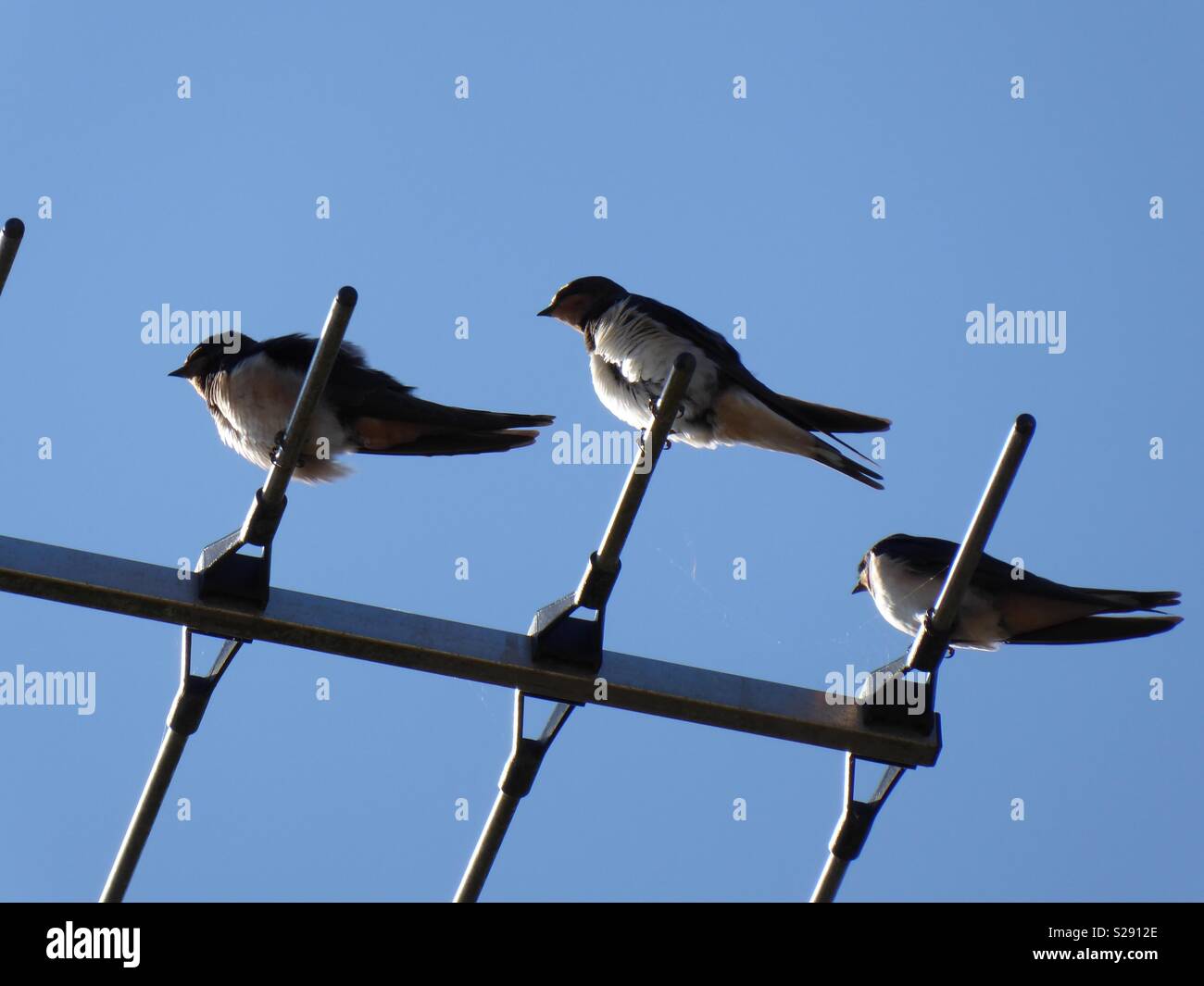 On aerial hi-res stock photography and images - Alamy