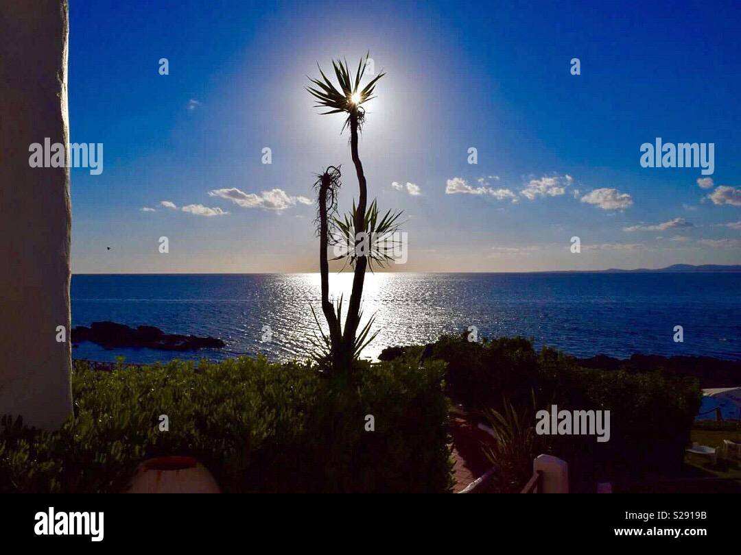 Punta del esta hi-res stock photography and images - Alamy