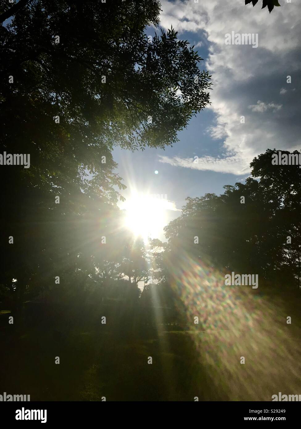 Sun with sun rays hi-res stock photography and images - Alamy