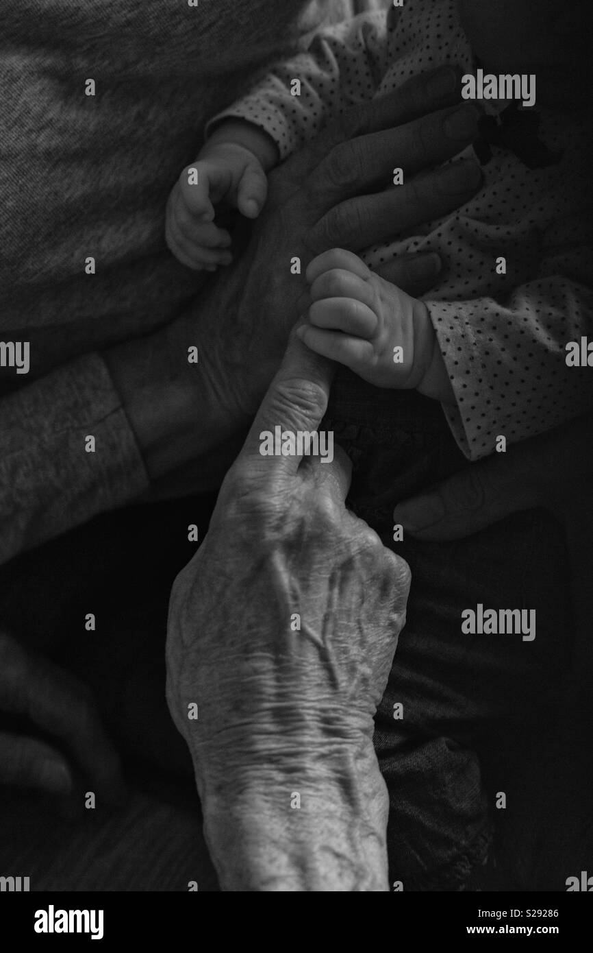 Old hand, baby hand, 4 Generations, wrinkles Stock Photo - Alamy