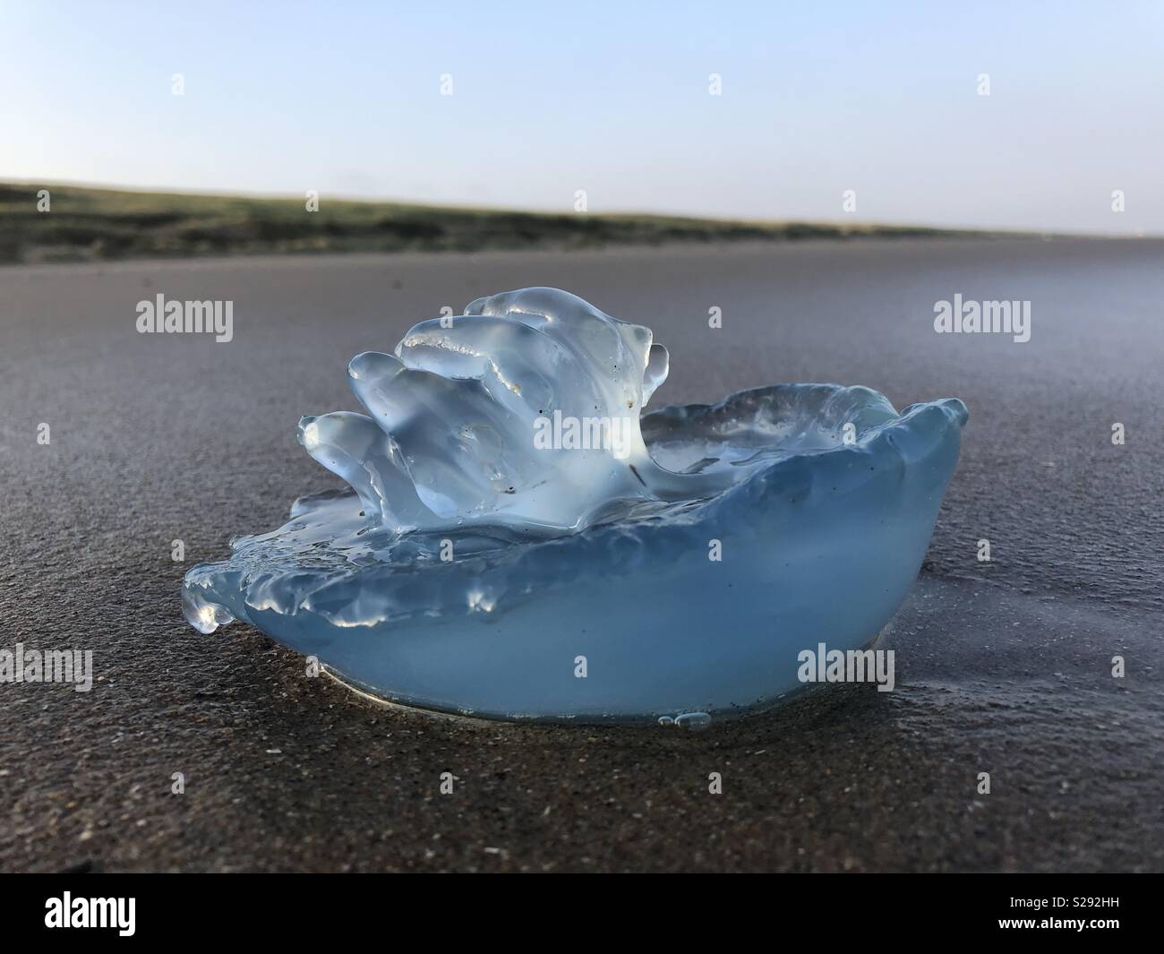 Northsea hi-res stock photography and images - Alamy