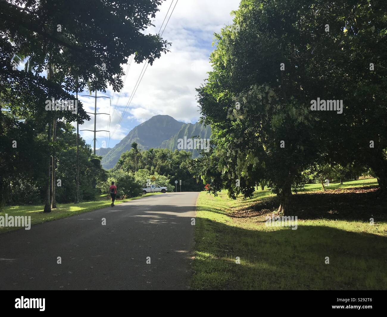 A stroll through the garden Stock Photo - Alamy