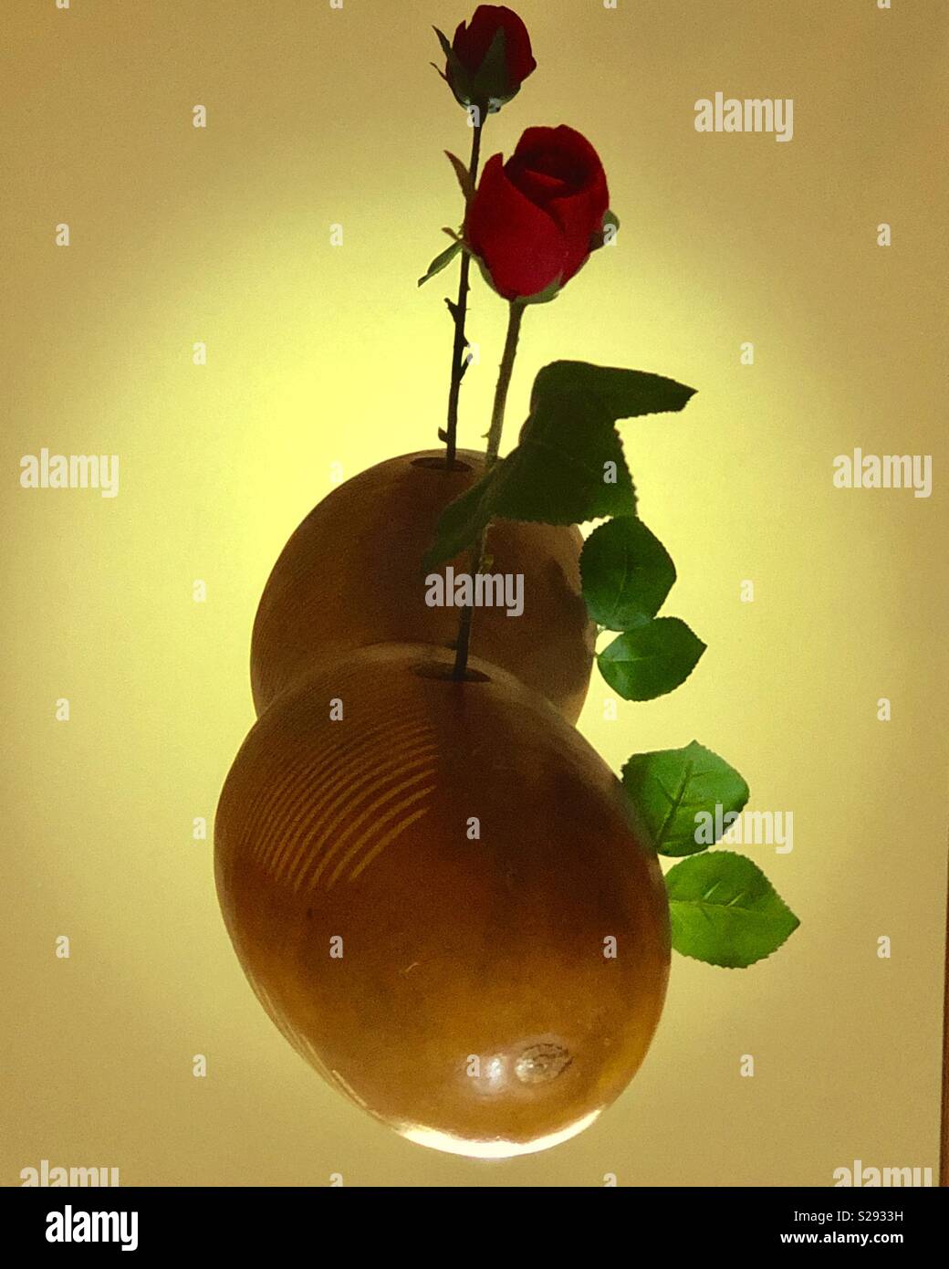 Guiro hi-res stock photography and images - Alamy