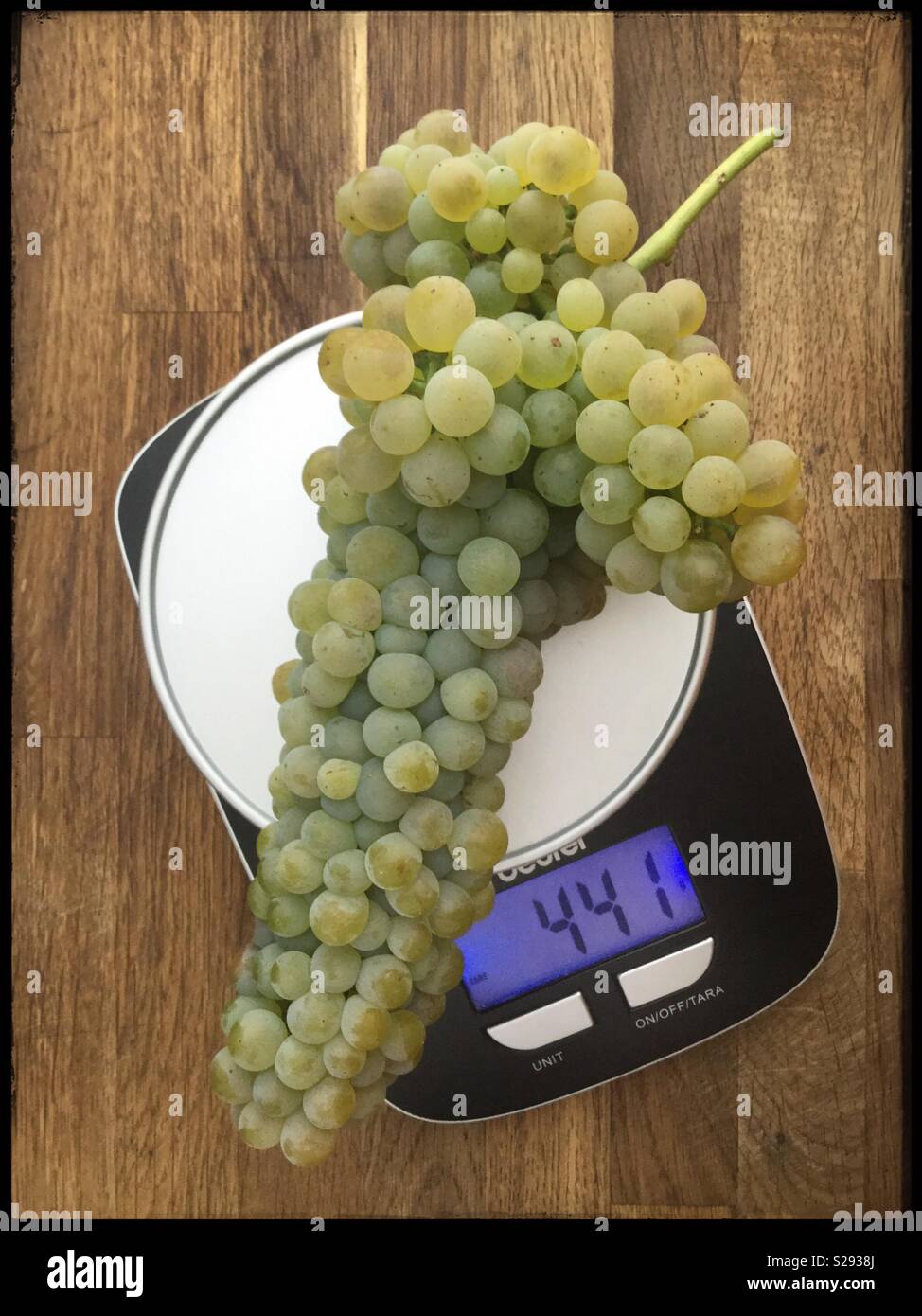 Grapes weighing hi-res stock photography and images - Alamy