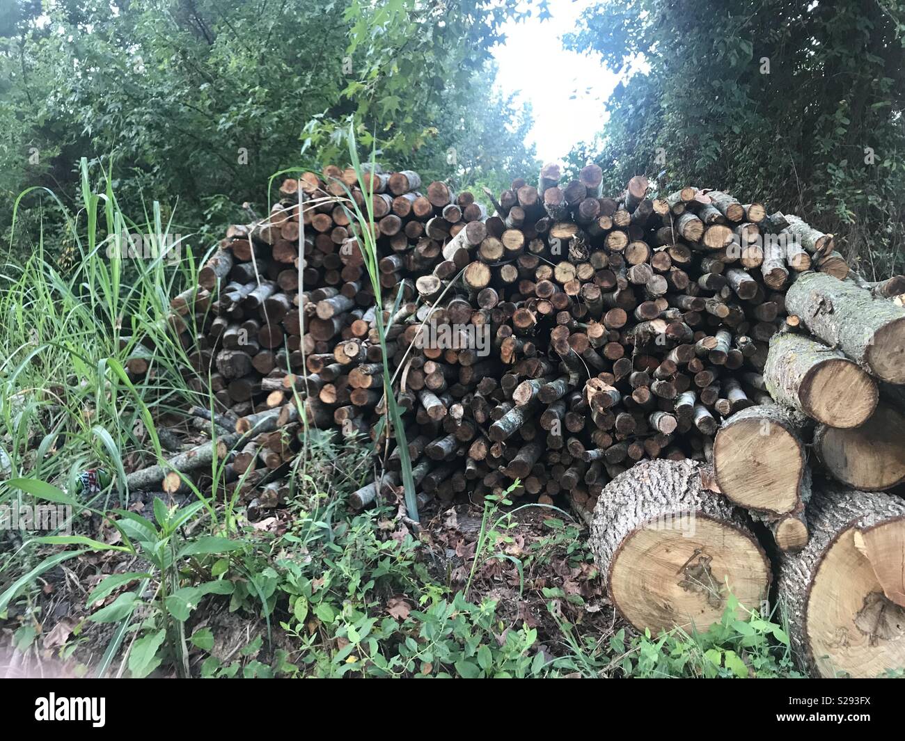 Chop wood hi-res stock photography and images - Alamy