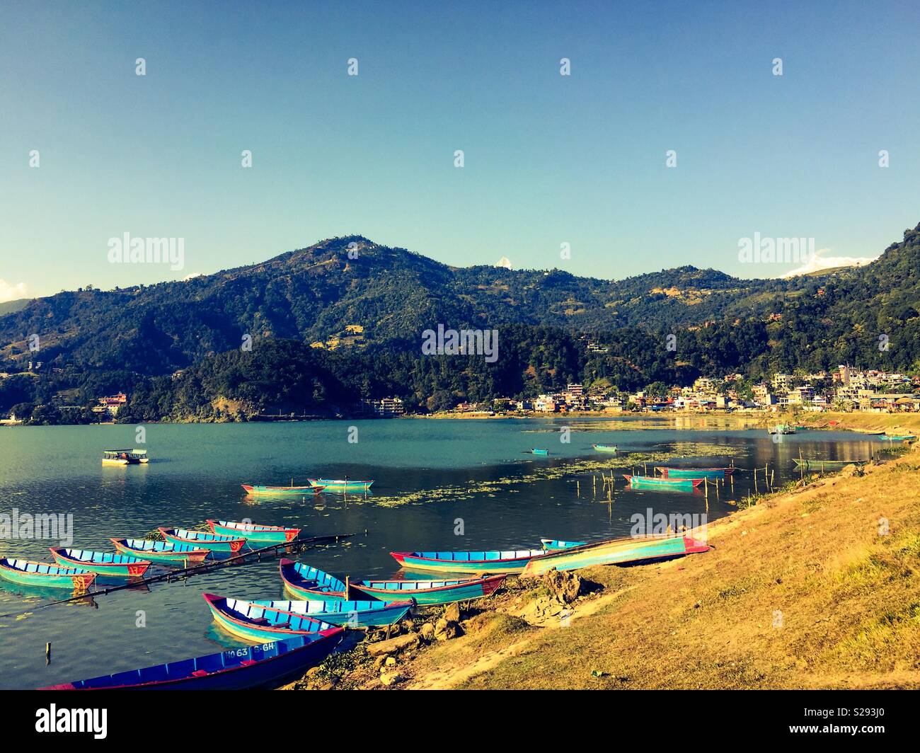 Lake Fewa, Pokhara, Nepal Stock Photo - Alamy