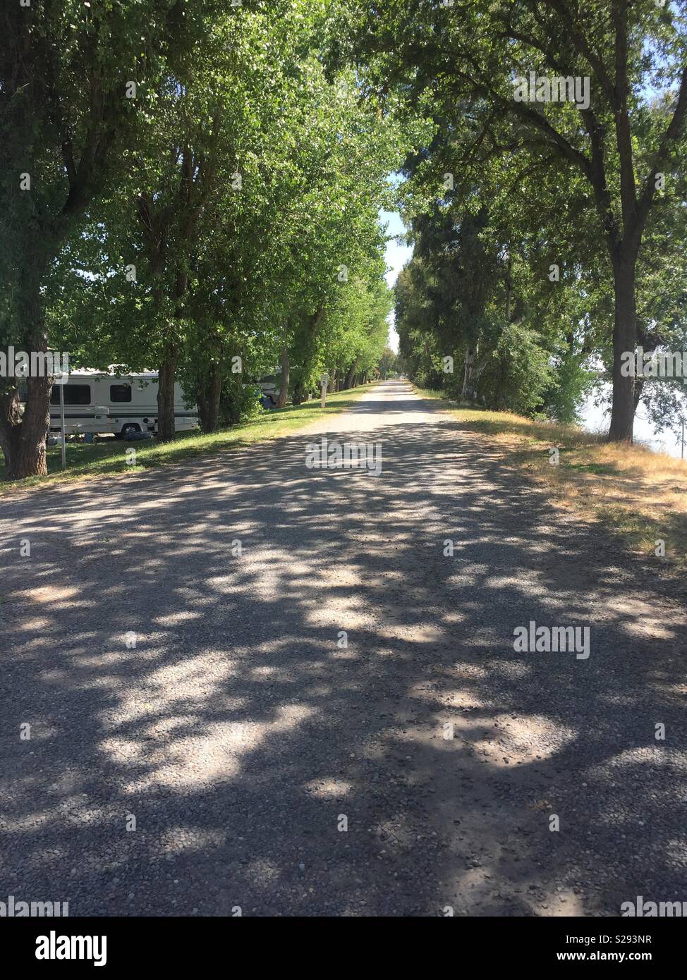 Overhead trees hi-res stock photography and images - Alamy