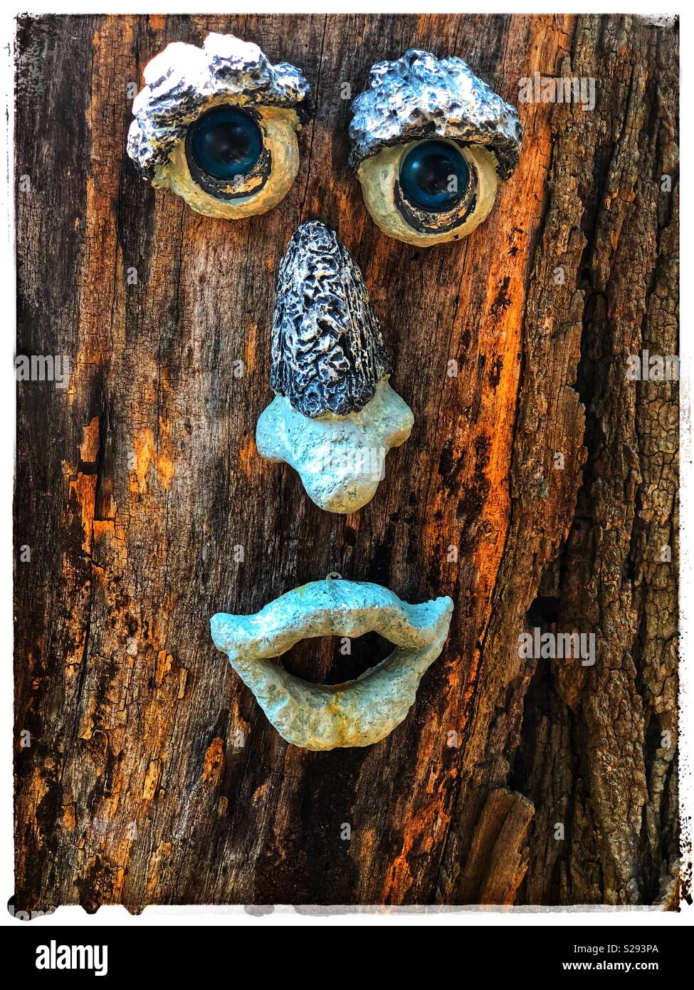 Tree with a face Stock Photo - Alamy