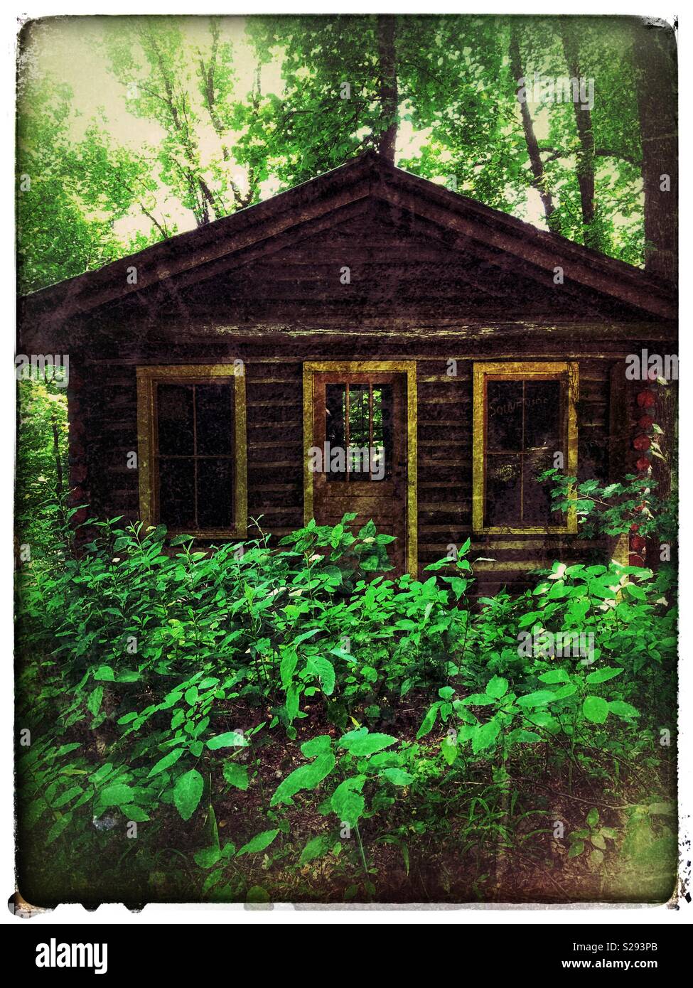 Cabin in the country Stock Photo - Alamy
