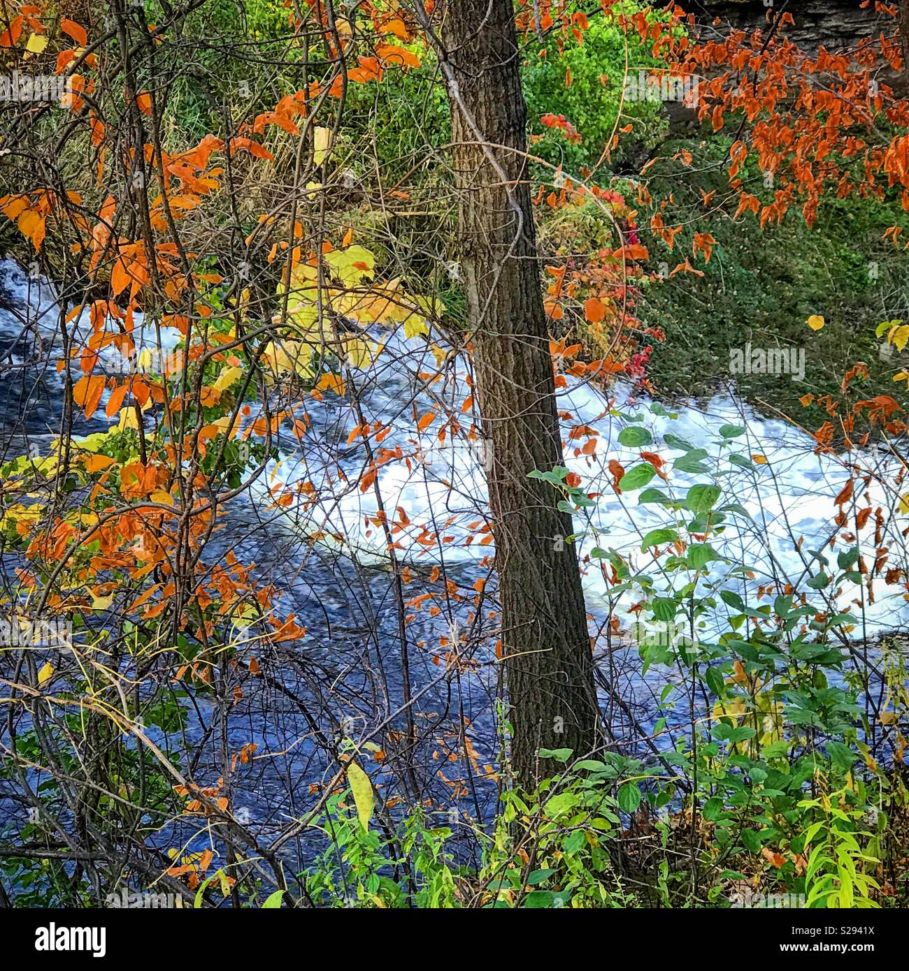 Flowing colour hi-res stock photography and images - Alamy