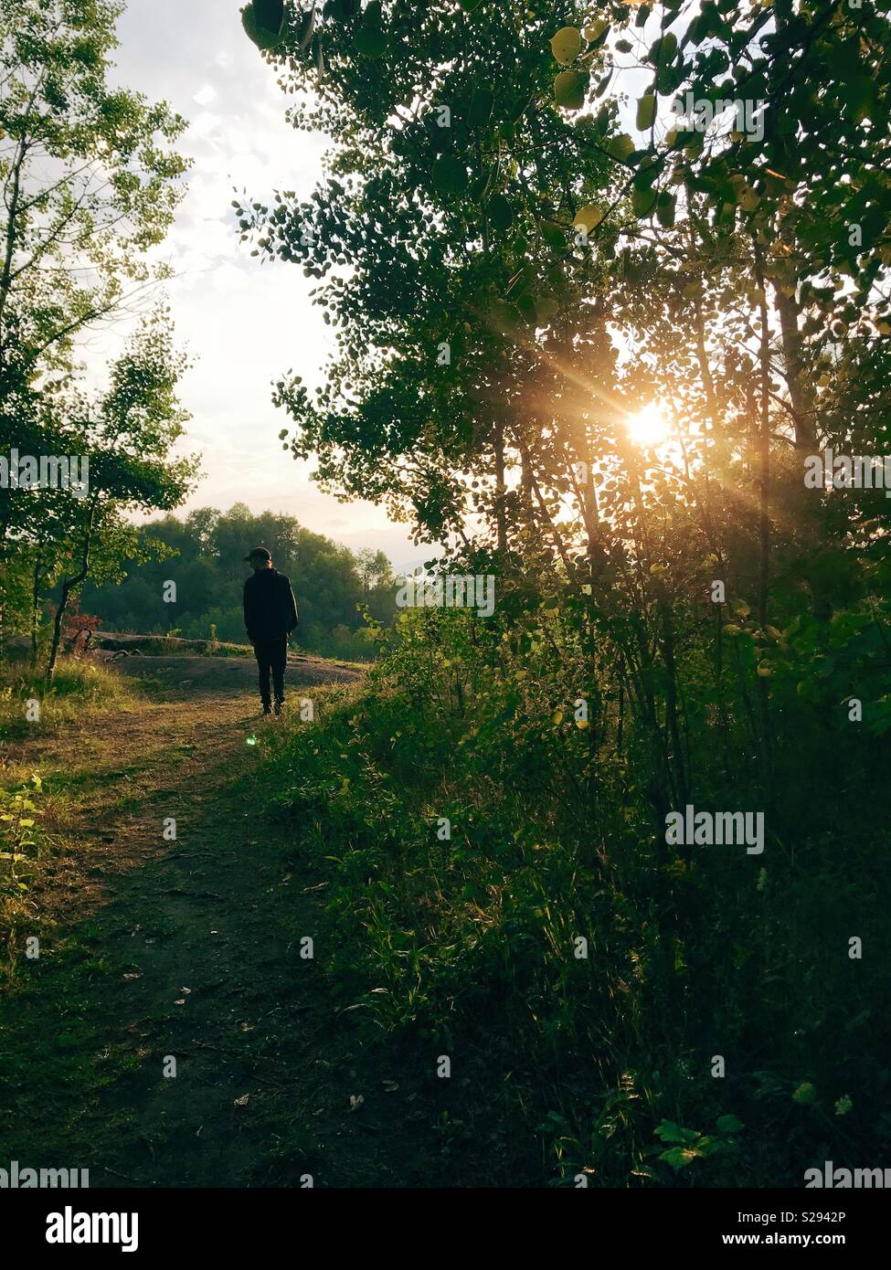 Sunset woods hi-res stock photography and images - Alamy