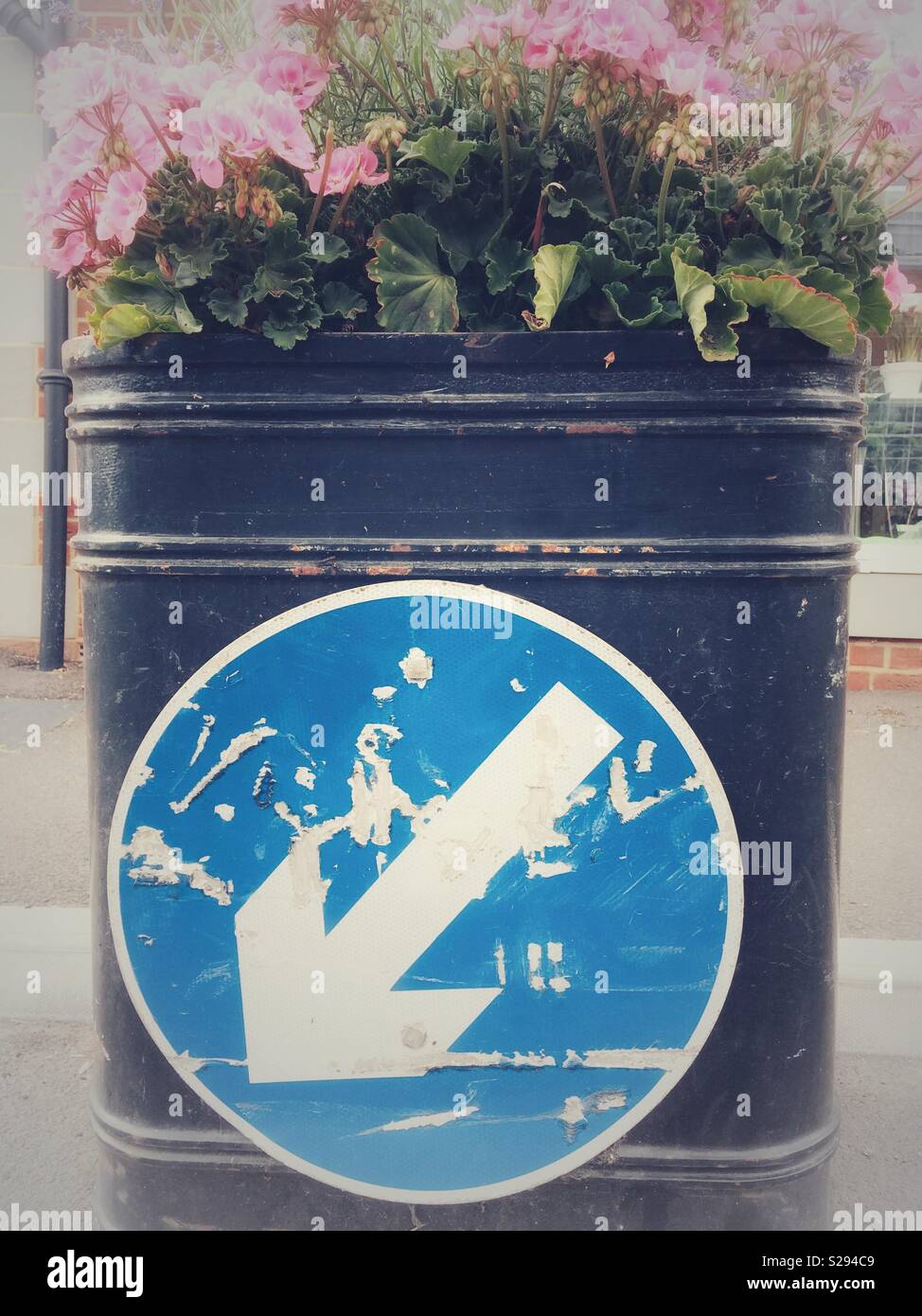 Planter with pink flowers and worn arrow road sign attached Stock Photo ...