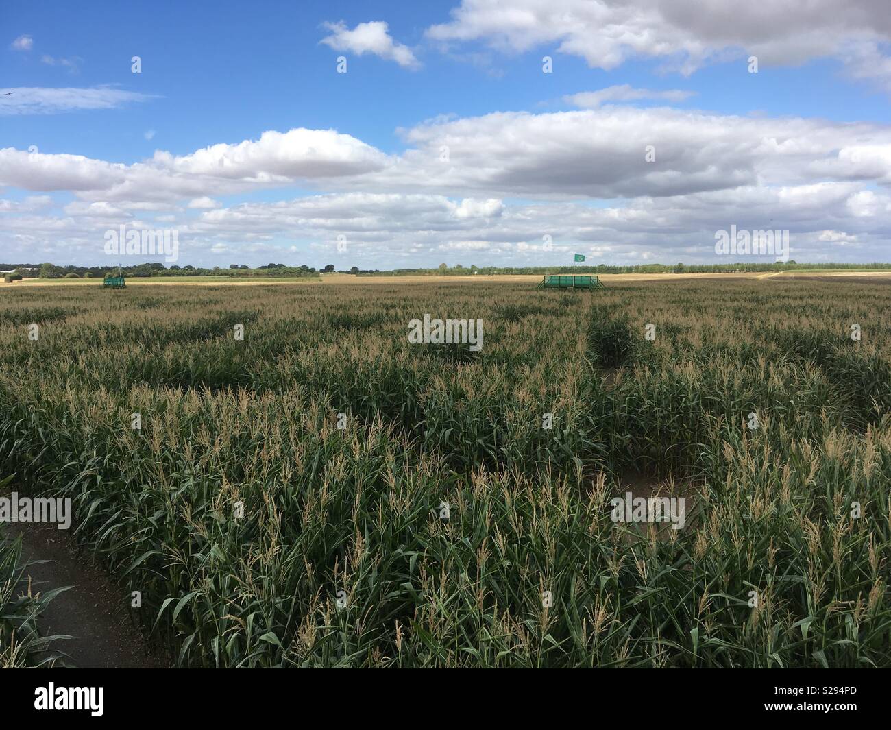 Maize Maze Stock Photos & Maize Maze Stock Images - Alamy