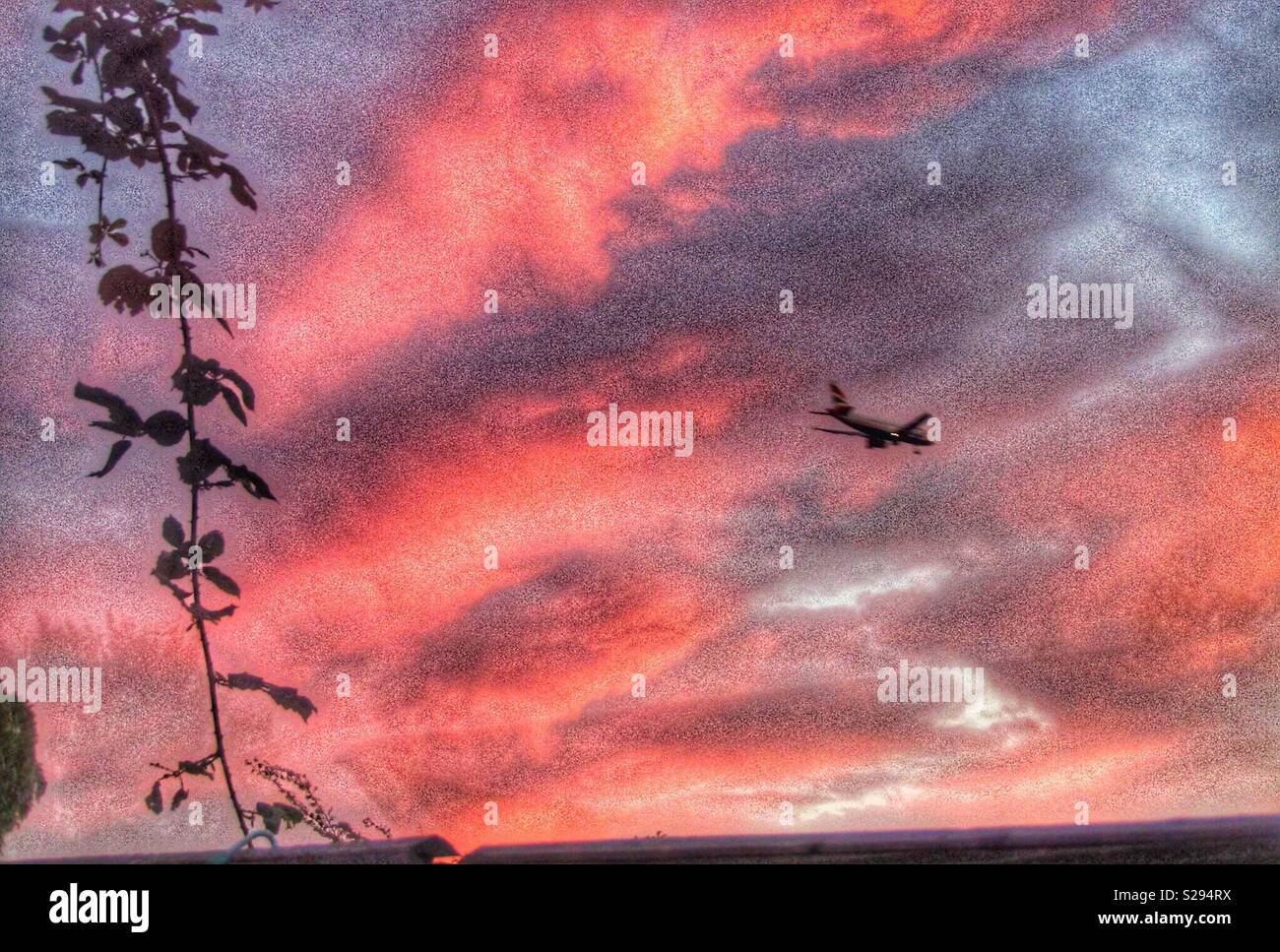 A plane flying into the sunset Stock Photo - Alamy
