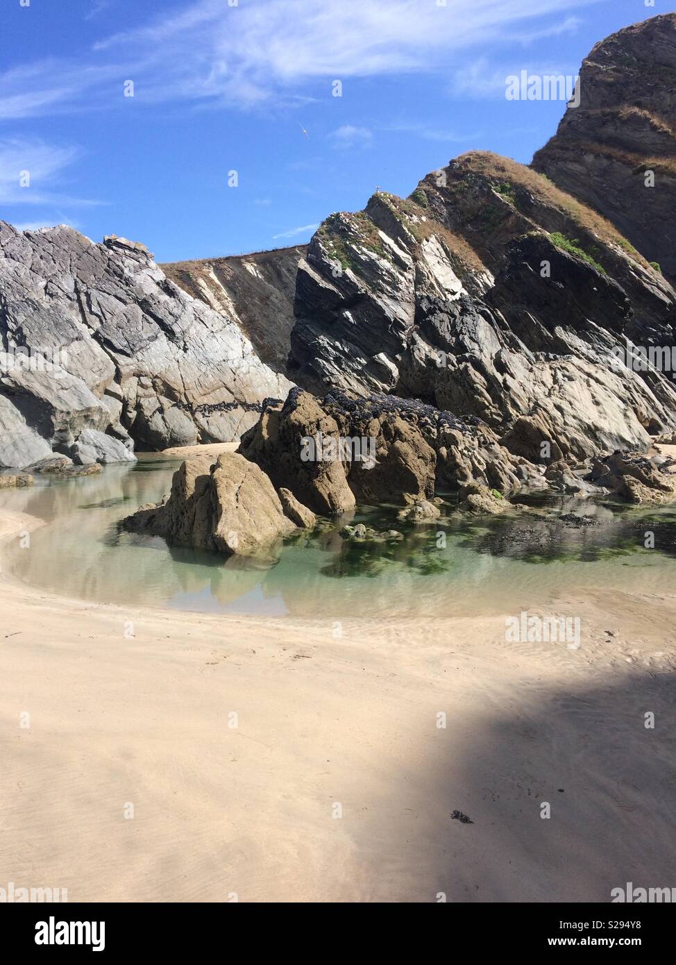 Rock pool on Tolcarne beach, Newquay, Cornwall Stock Photo - Alamy