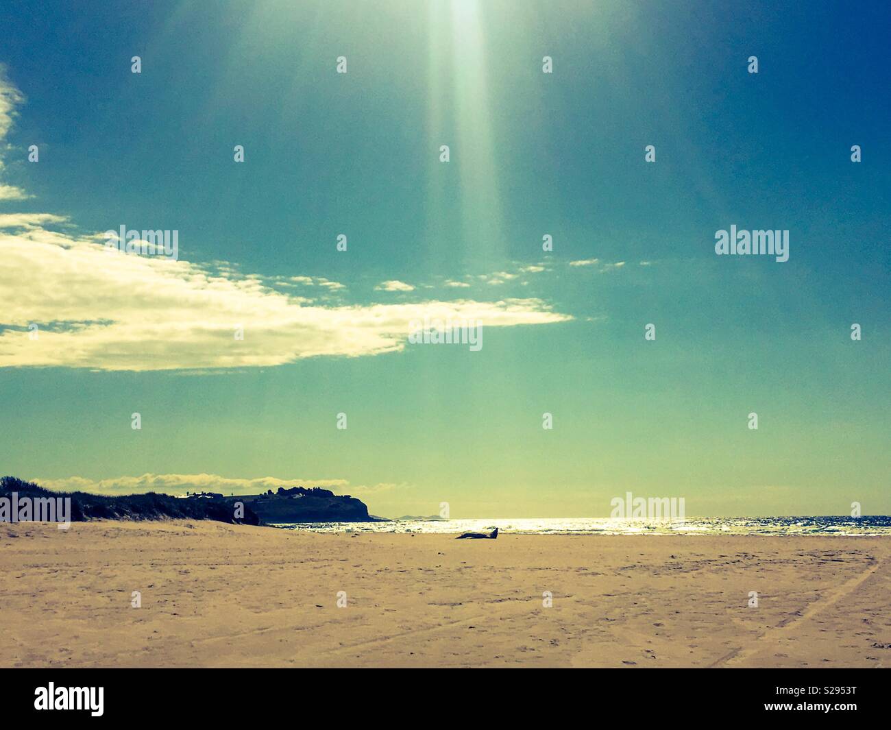 Sunlight beam hi-res stock photography and images - Alamy