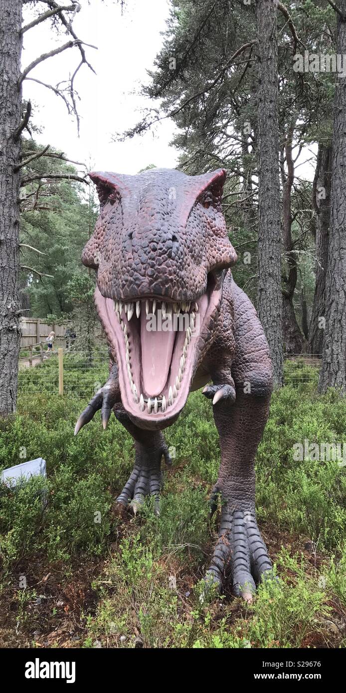 Forest t rex hi-res stock photography and images - Alamy
