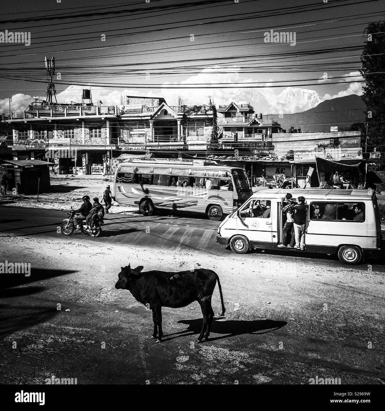 Busy Pokhara road and cow, Nepal Stock Photo - Alamy