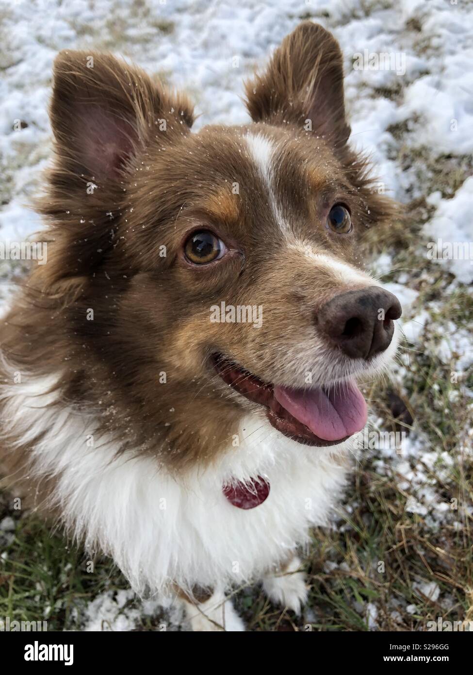 Nose and tongue hi-res stock photography and images - Alamy