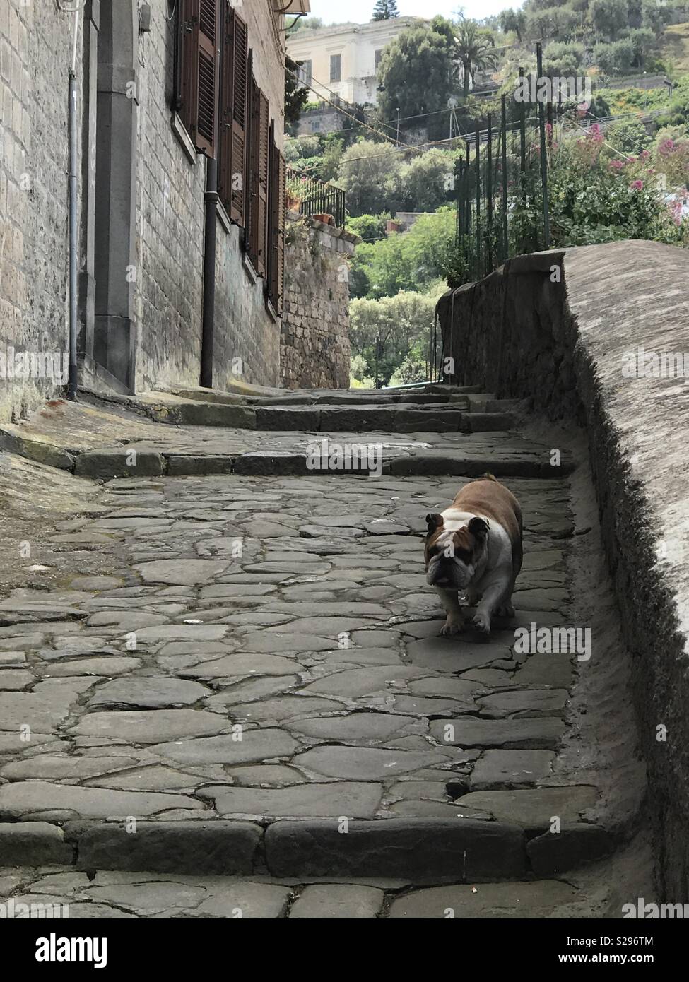 Walking out steps hi-res stock photography and images - Alamy