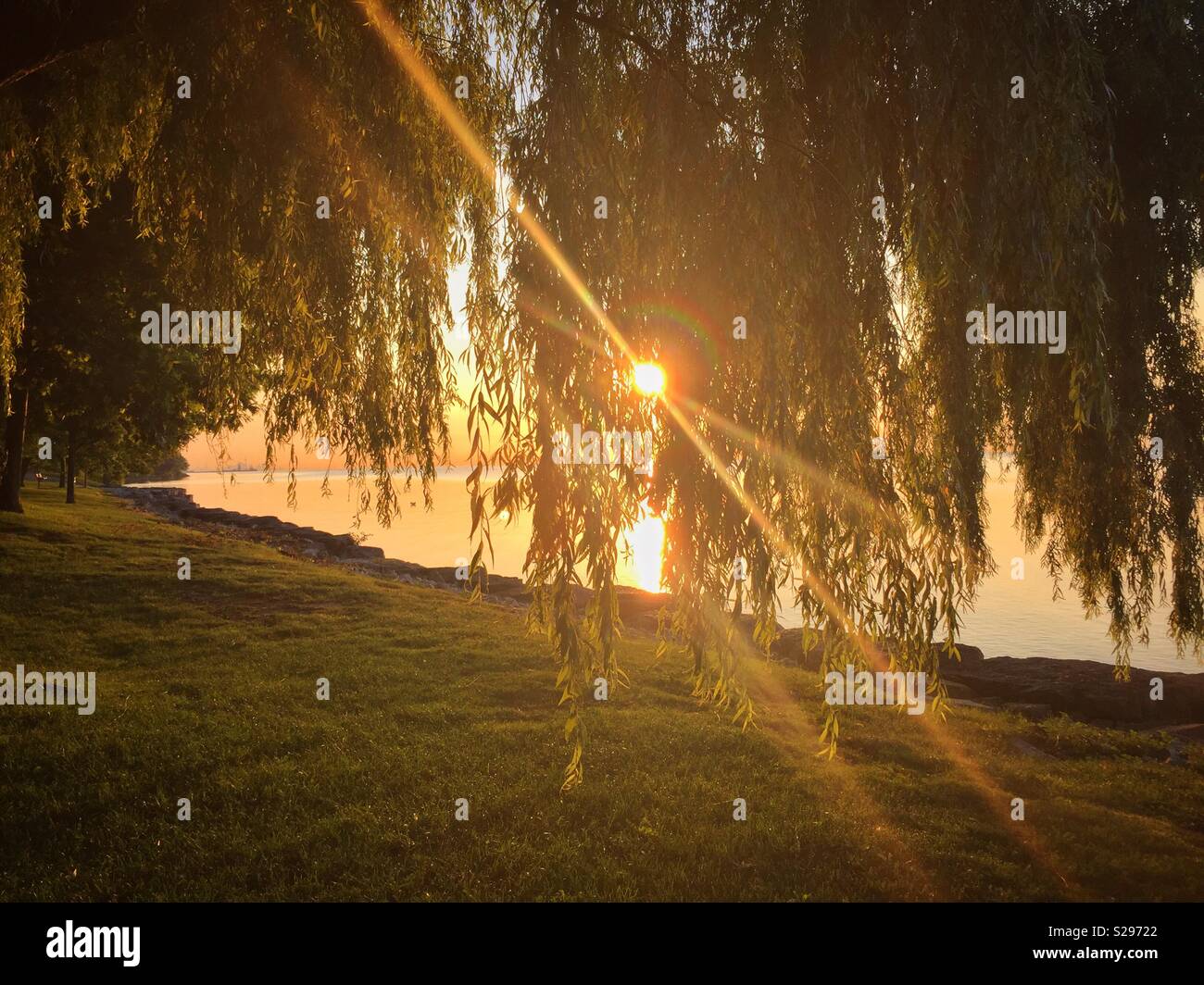 Mid summer morning hi-res stock photography and images - Alamy