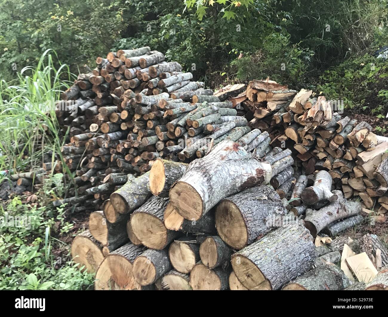 Chopped wood stacked hi-res stock photography and images - Alamy