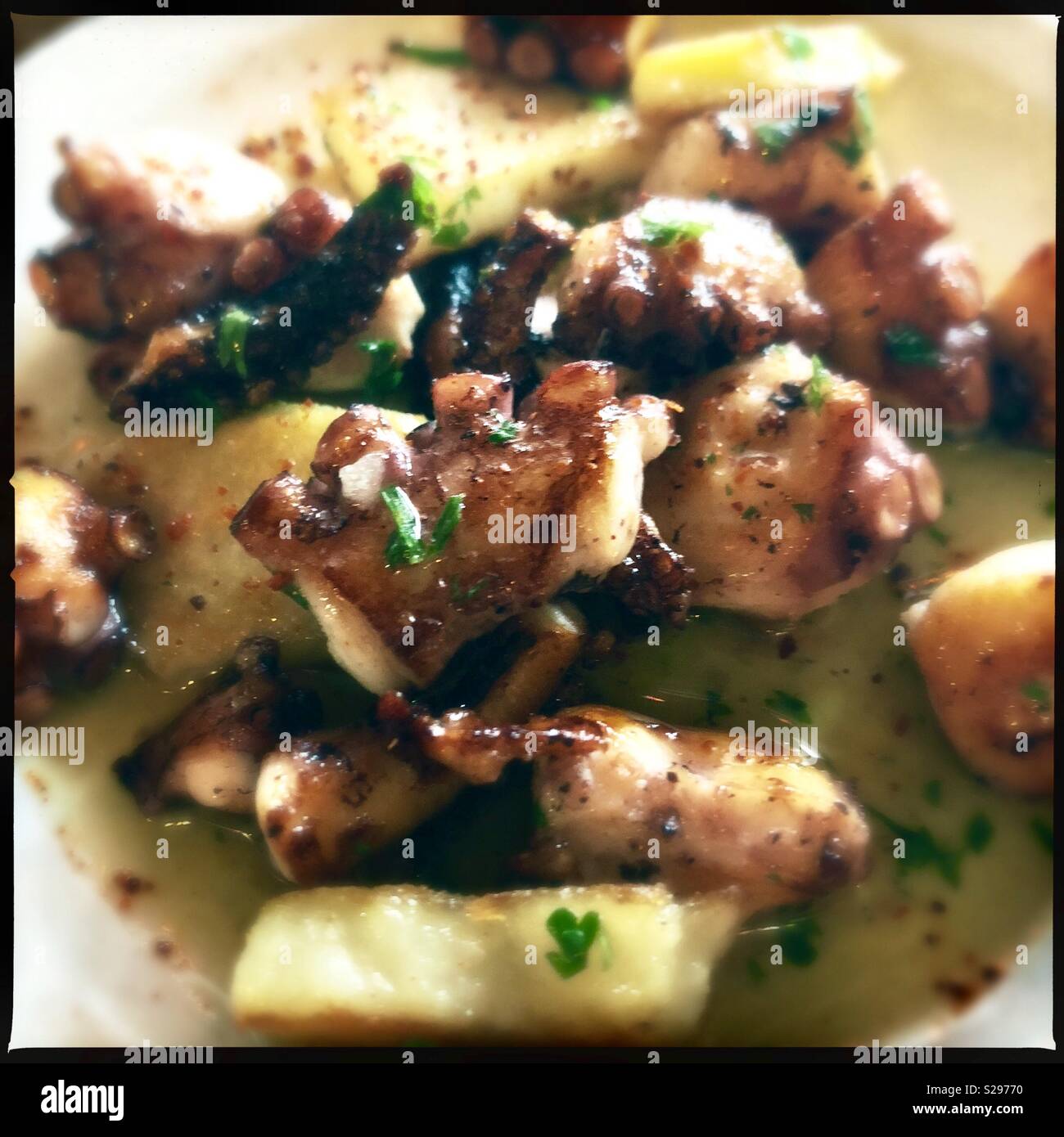 Grilled octopus appetizer Stock Photo - Alamy
