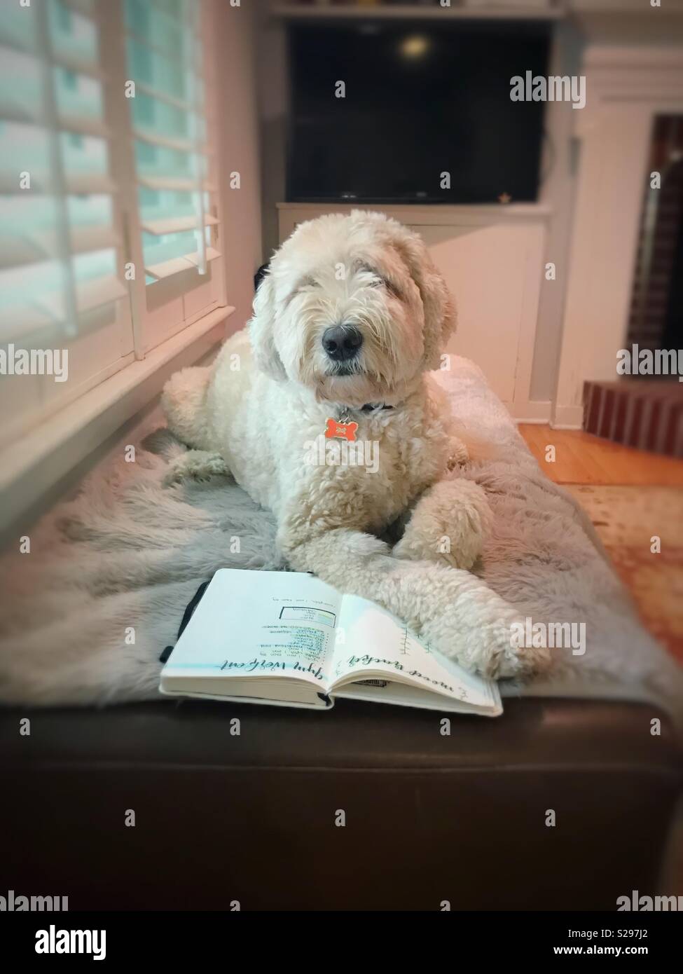 Bullet journal hi-res stock photography and images - Alamy