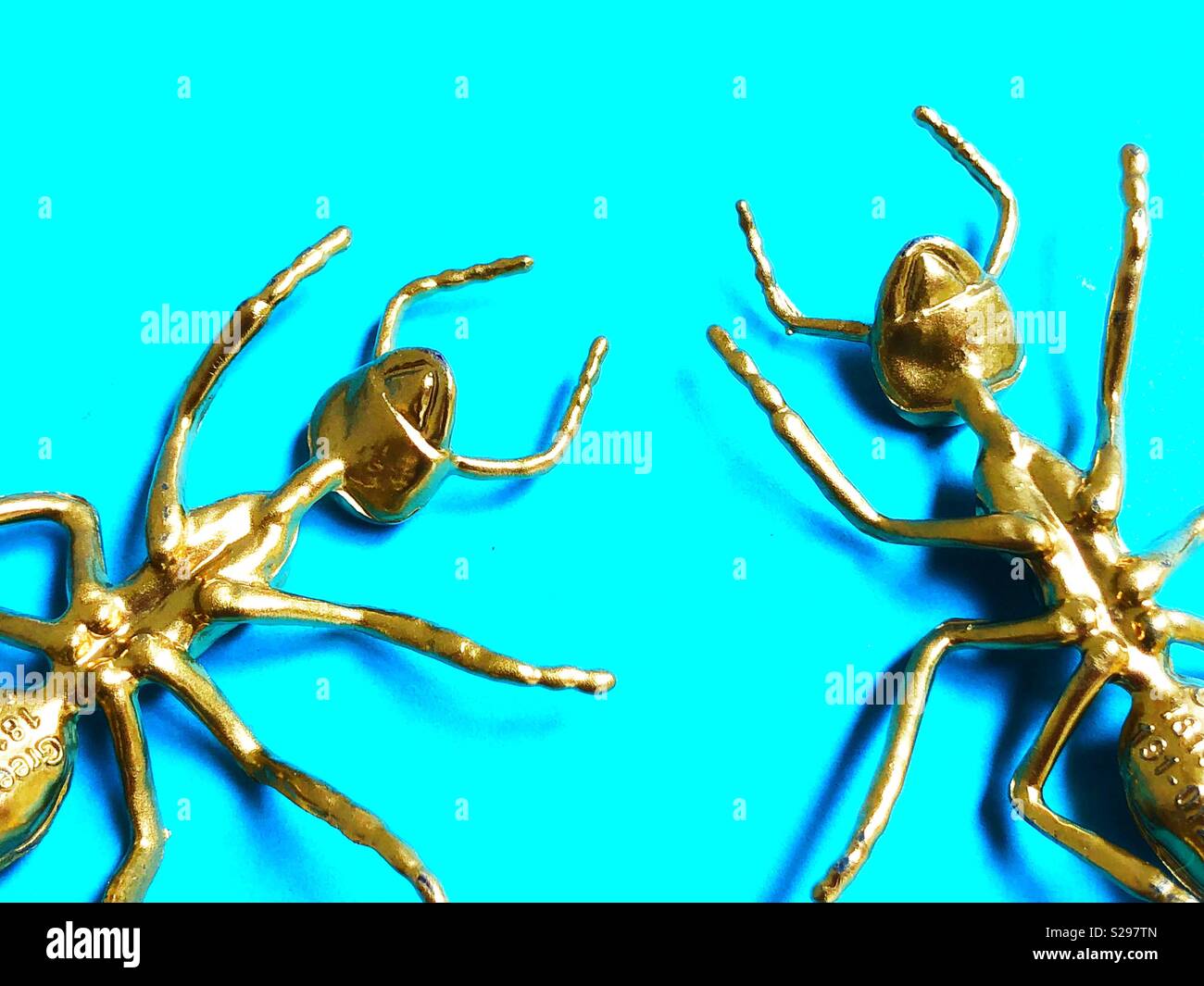 Two overturned gold ants Stock Photo - Alamy
