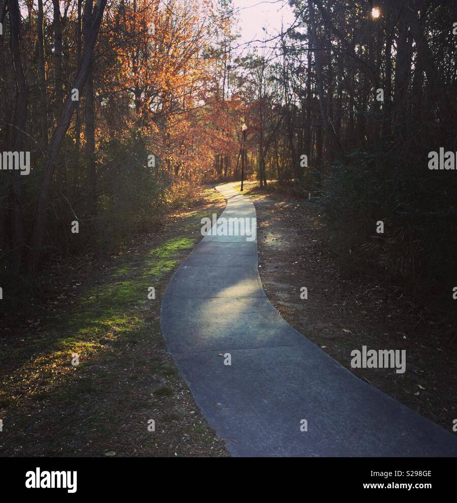 Wandering light hi-res stock photography and images - Alamy