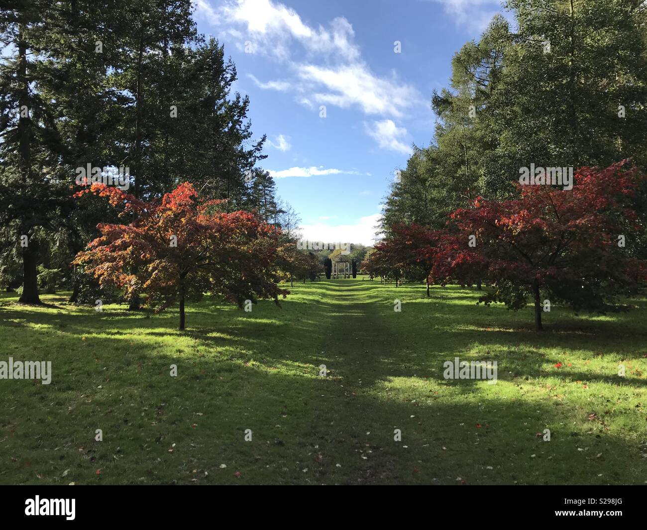 Wandering autumn hi-res stock photography and images - Alamy