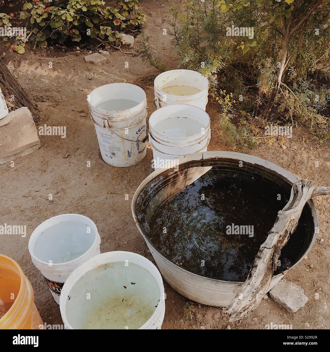 bucket of water Stock Photo - Alamy