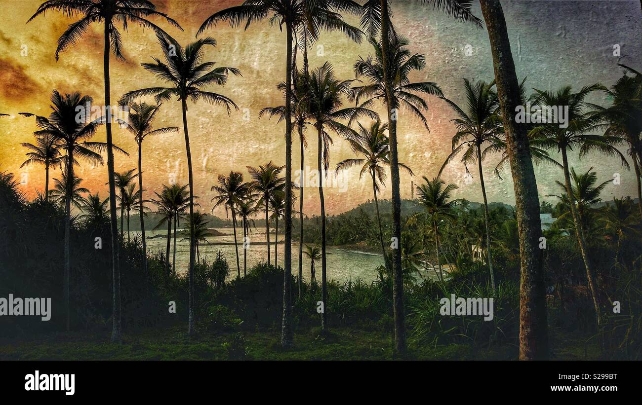 Vintage photo of sri lanka hi-res stock photography and images - Alamy